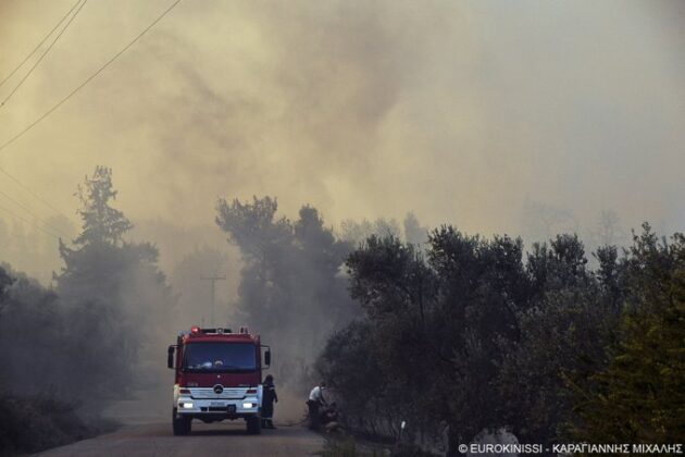 Πυρκαγιά σε αγροτοδασικη εκταση στην Σπάρτη