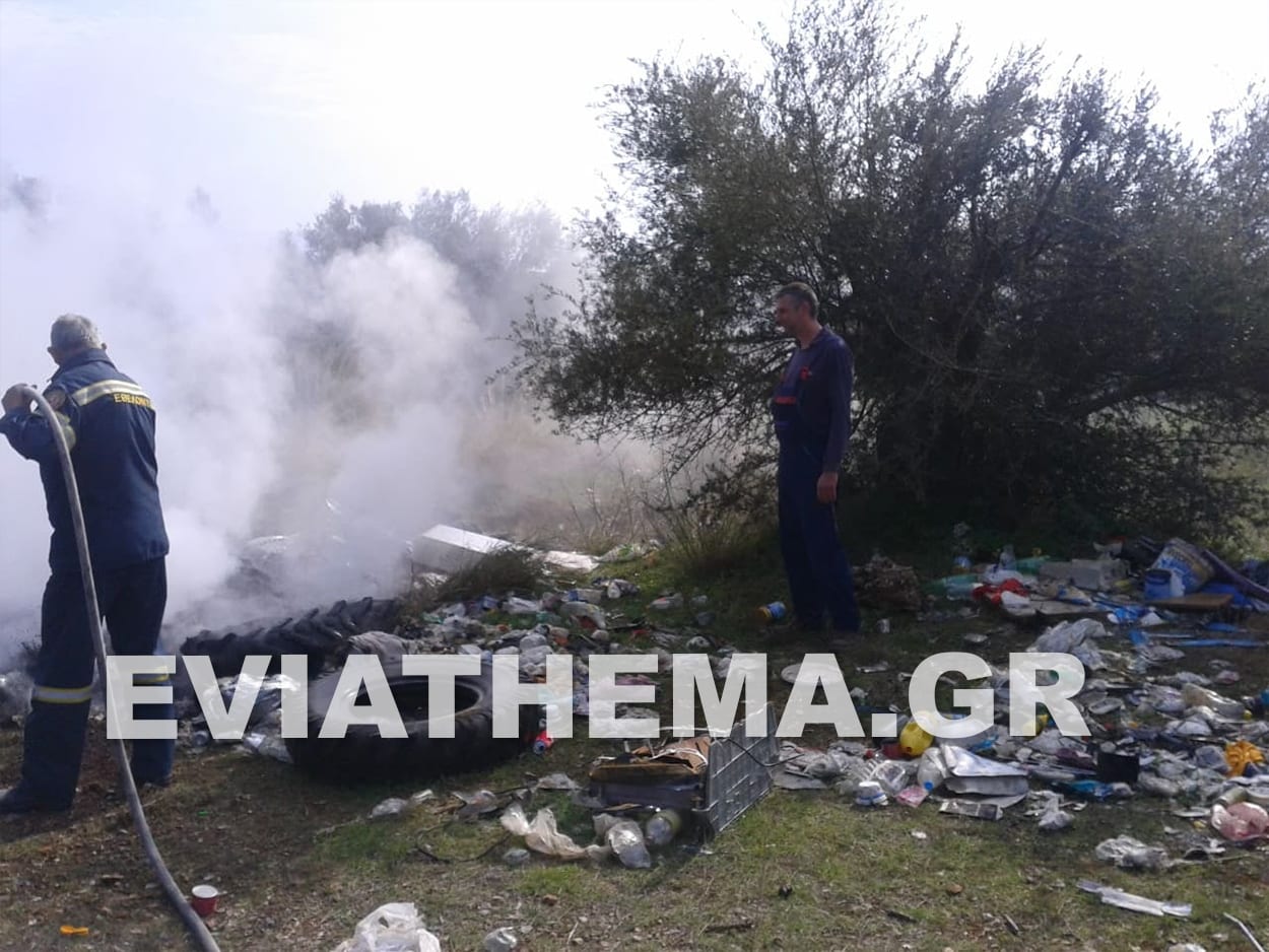 Πυρκαγιά εν υπαίθρω στην Ερέτρια Ευβοίας (Φώτο)
