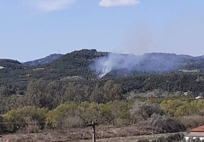 Πυρκαγιά ΤΩΡΑ σε δασική έκταση στην Σαλμώνη Ηλείας (Φώτο)