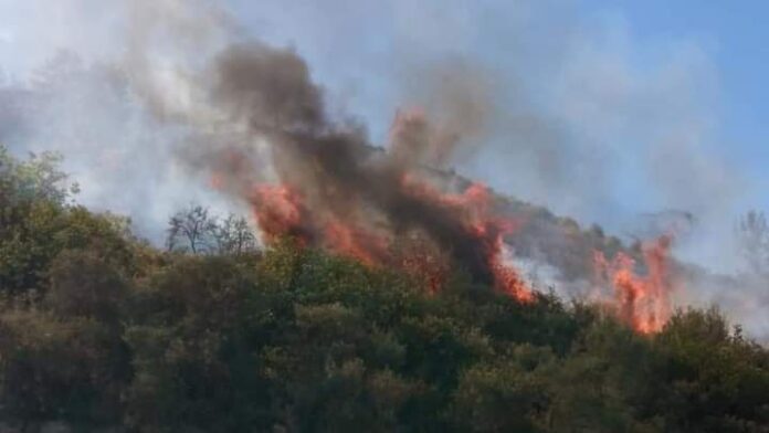 Δυο δασικές πυρκαγιές σε Ποντή και Καρτέρια στην Κέρκυρα