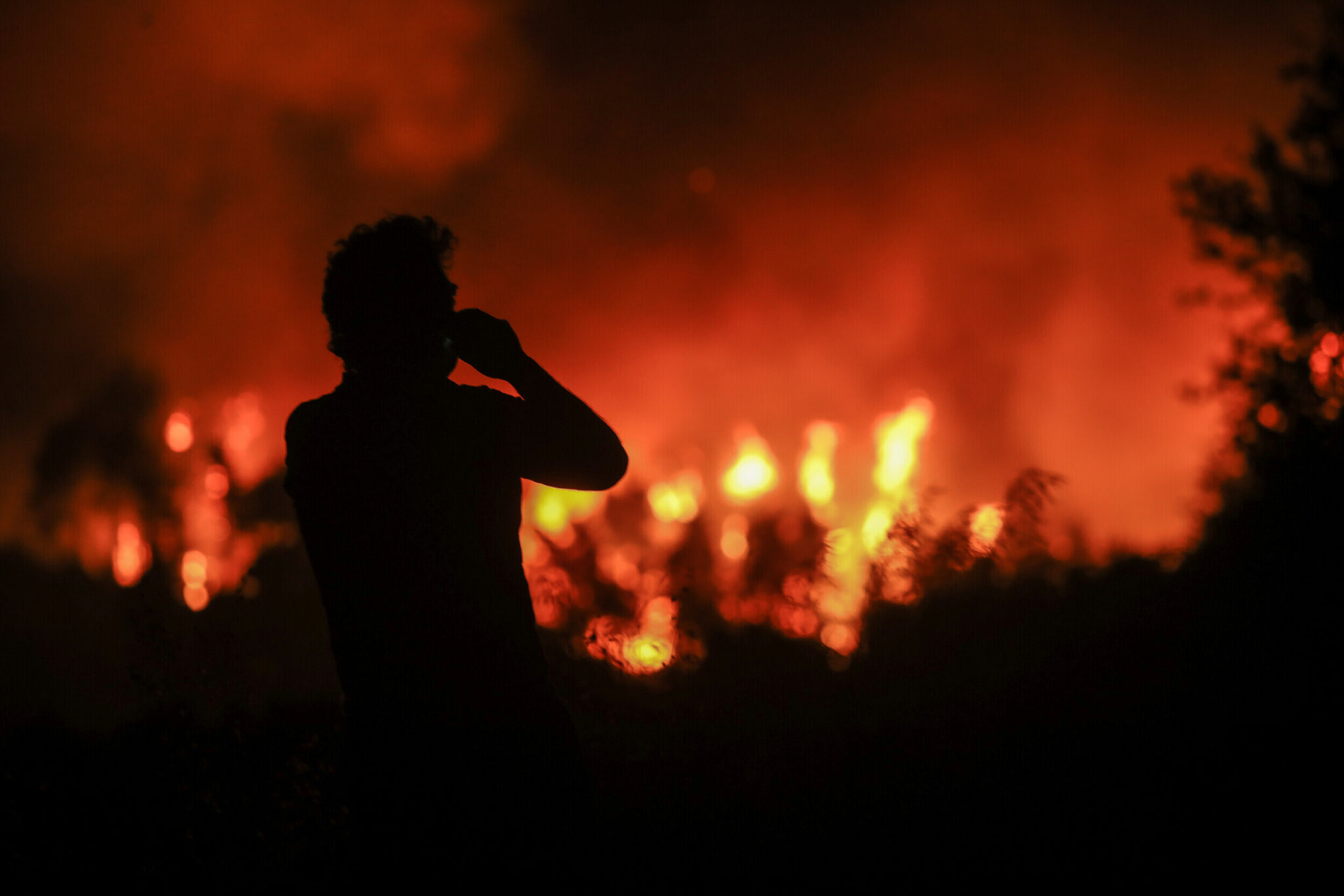 Πυροσβεστική: 69 δασικές πυρκαγιές το τελευταίο 24ωρο (28/04/22)