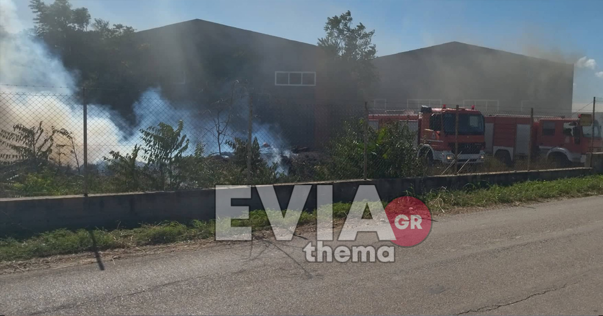 Πυρκαγιά σε εγκαταλελειμμένες αποθήκες στο Βασιλικό Ευβοίας (Φωτό)