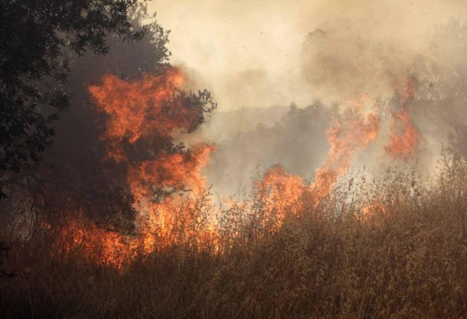 Πυρκαγιά σε έκταση με καλαμιές στον Αμπελώνα Λάρισας