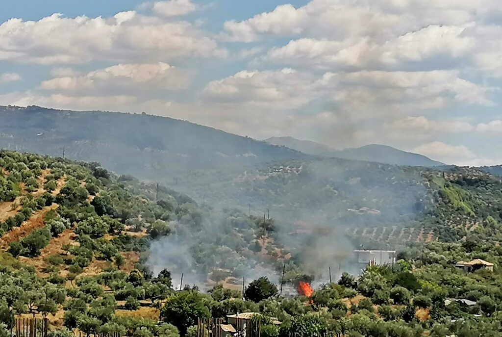 Λέπρεο Ηλείας: Πυρκαγιά σε αγροτική έκταση τέθηκε γρήγορα υπό έλεγχο ...
