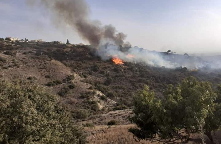 Πυρκαγιά σε δασική έκταση στην Ωλένη Ηλείας