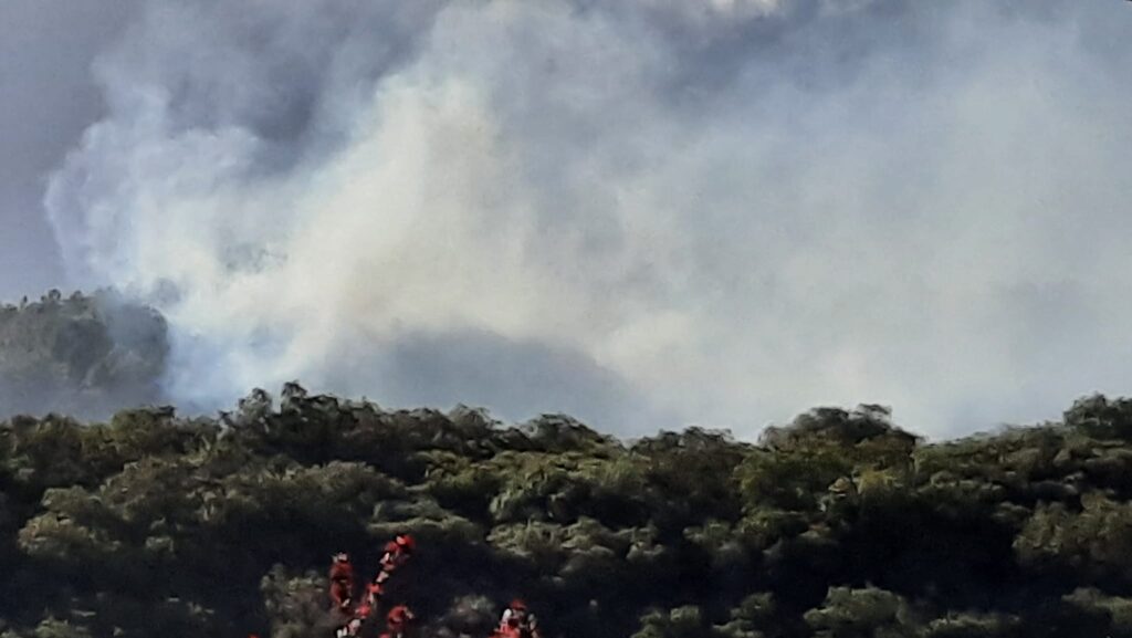 Πυρκαγιά σε δασική έκταση στο Βασιλάκι Λακωνίας