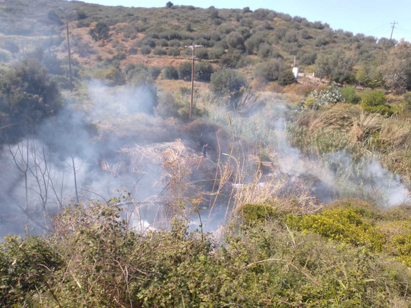 Σύλληψη για πυρκαγιά σε αγροτοδασική έκταση στο Πεταλίδι Μεσσηνίας