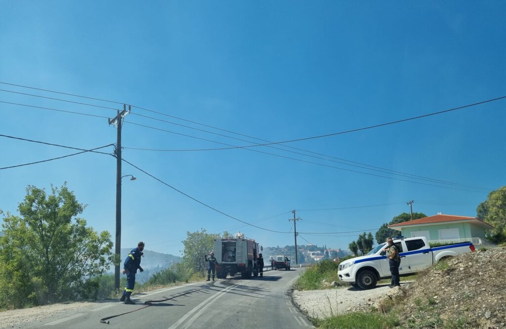 Προσαγωγή ηλικιωμένης για τη φωτιά στη Σάμο