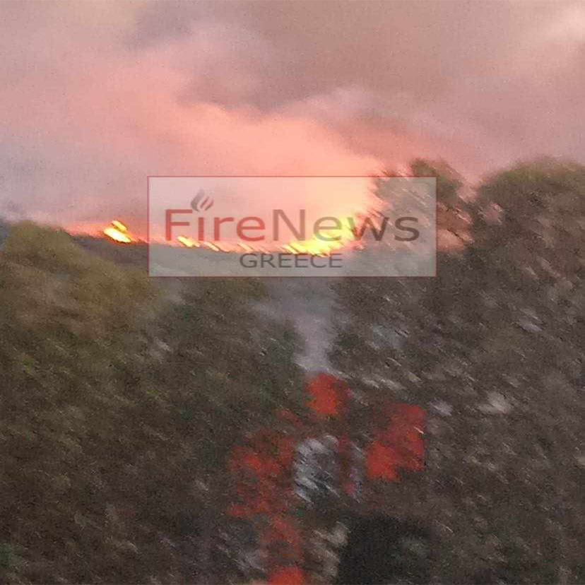 Πυρκαγιά σε δασική έκταση στο Μηλάκι Αλιβερίου Εύβοιας