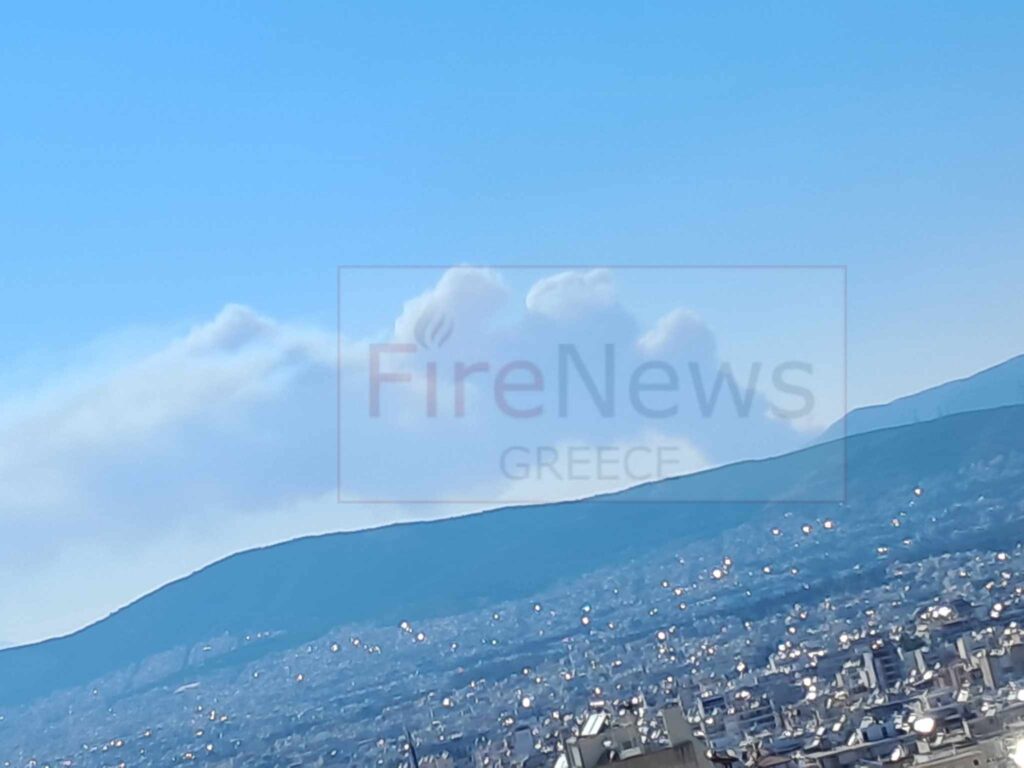Πυρκαγιά σε δασική έκταση στην περιοχή Πάνακτο Βοιωτίας