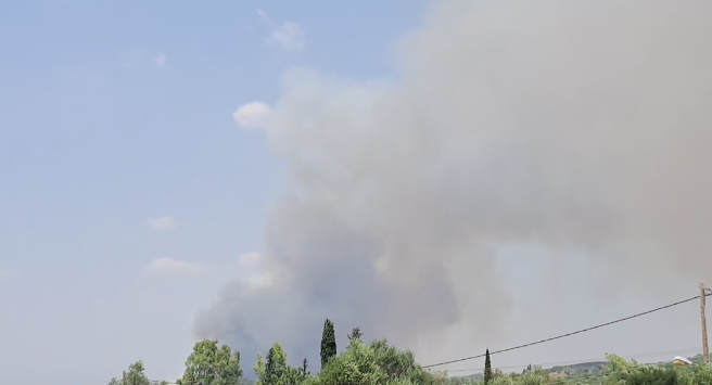 Μεγάλη πυρκαγιά σε δασική έκταση στην περιοχή Πυρί Λακωνίας