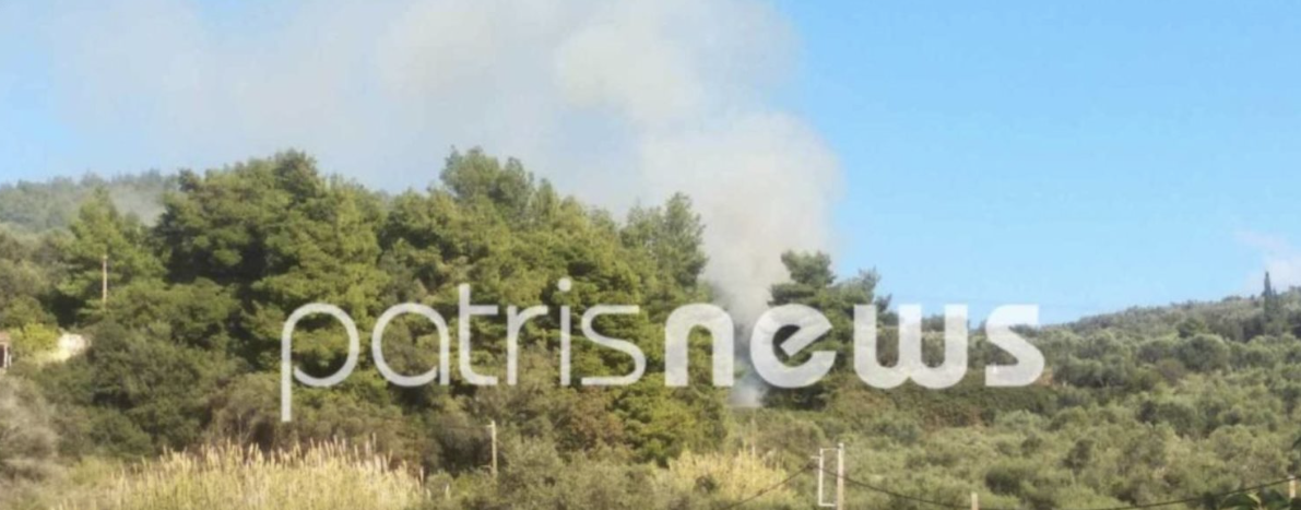 Πυρκαγιά σε δασική έκταση στο Επιτάλιο Ηλείας