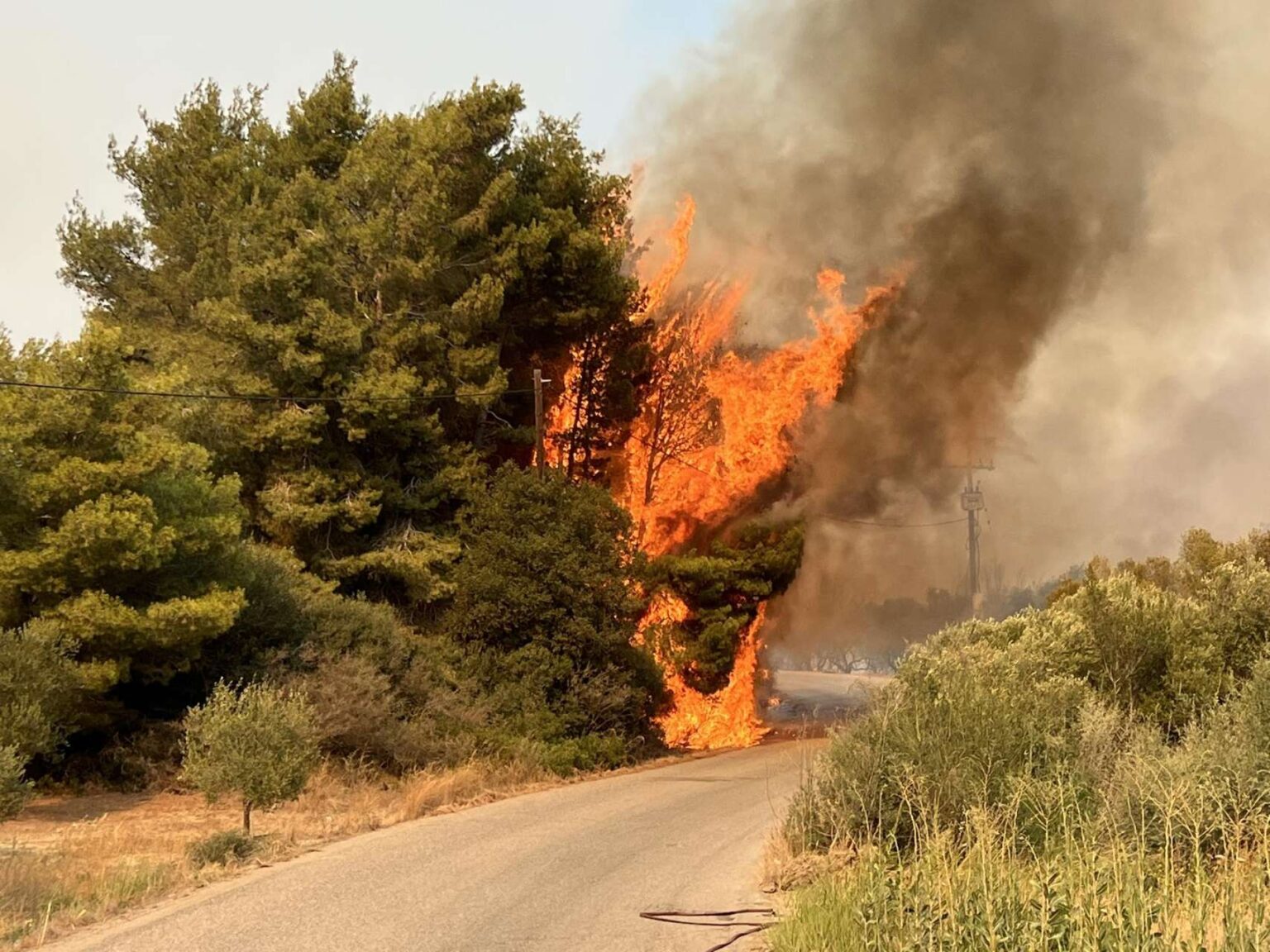 Fire Fighting Greece | Φωτια Τωρα – Πυρκαγιες σε εξελιξη