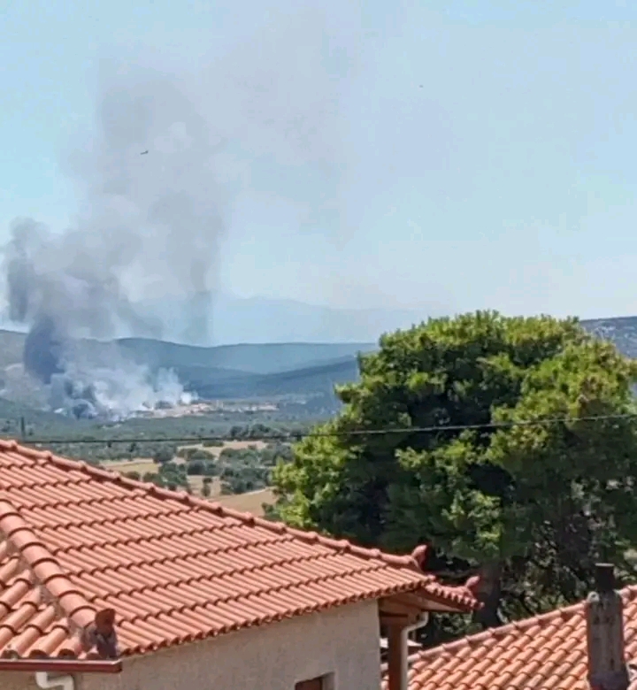 Πυρκαγιά σε δασική έκταση στην περιοχή Κοκκινάδες Αργολίδας